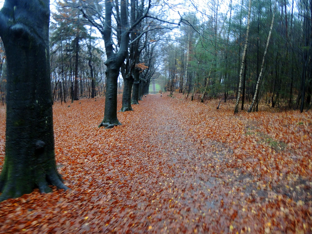 Пирамида Аустерлица: anirik_01 — LiveJournal